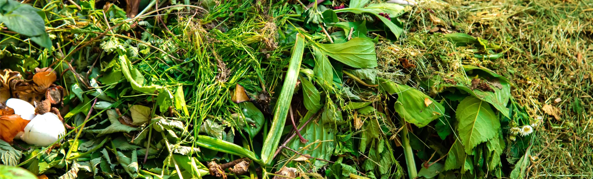 Organic Waste Disposal | Waste Initiatives